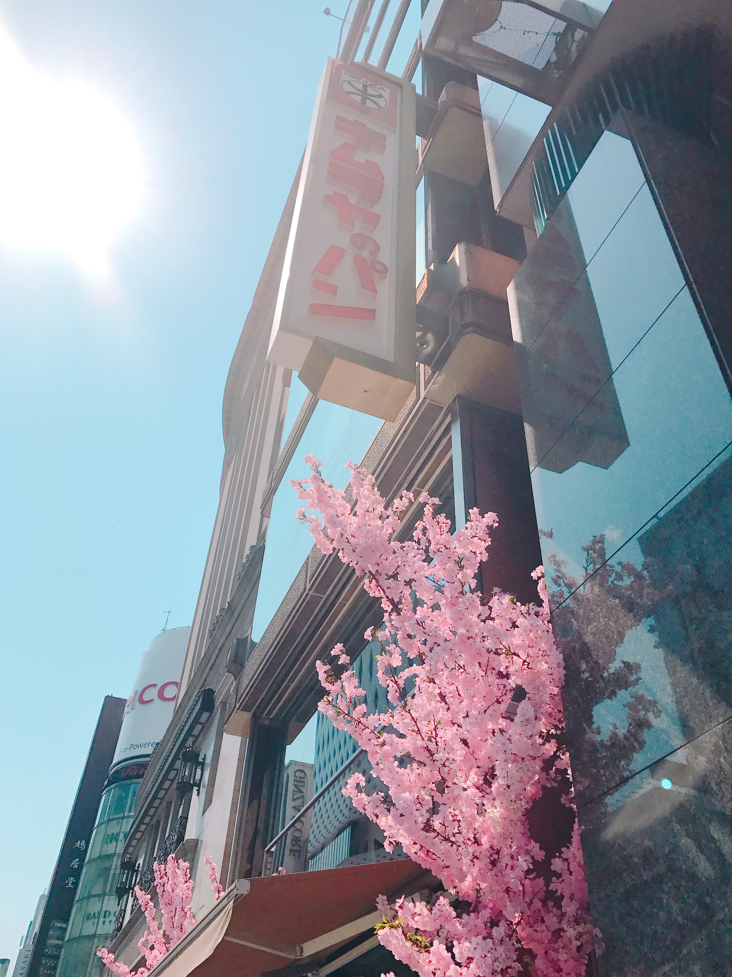 IMG_1497 | gogo-japan.com