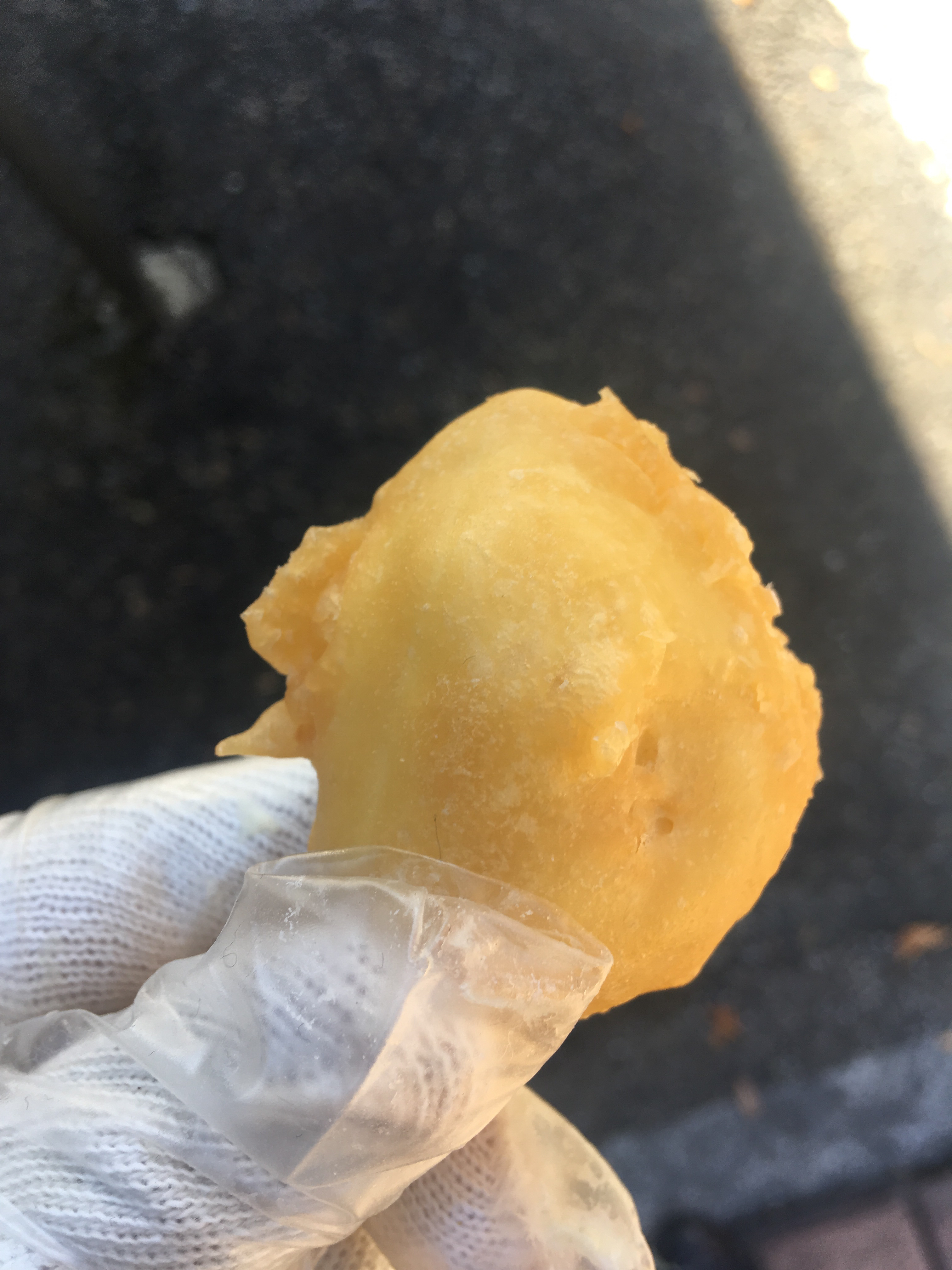 ② | gogo-japan.com